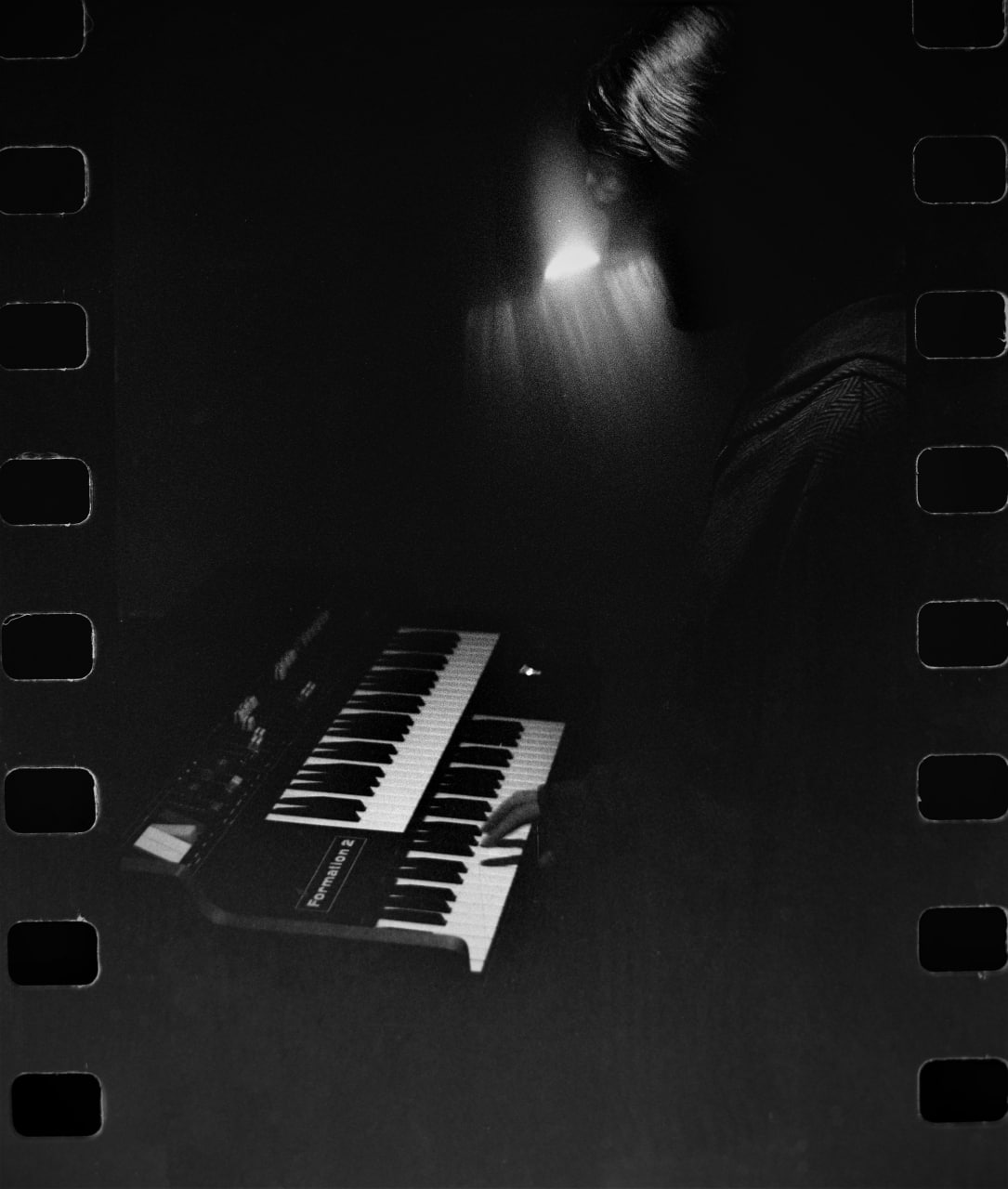 dolphin hospital - wassily bosch