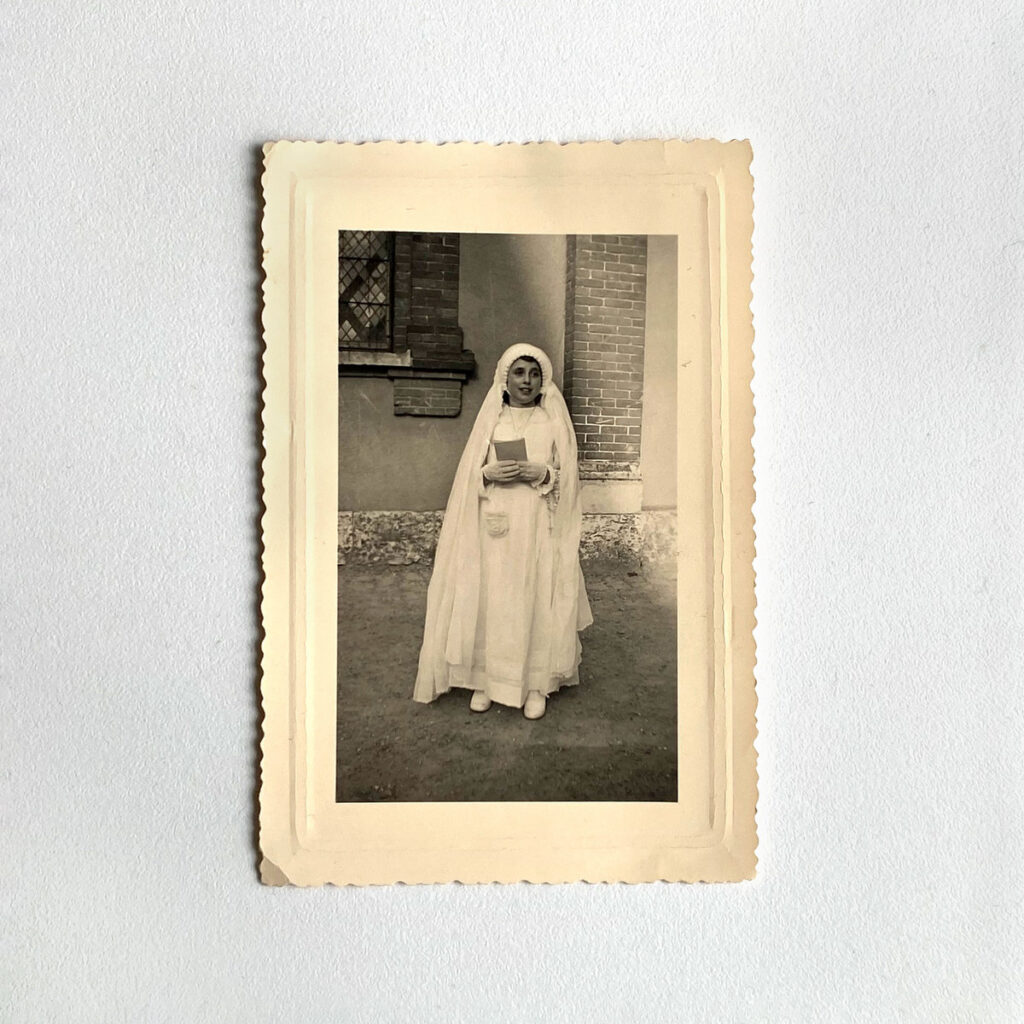 dolphin hospital - wassily bosch